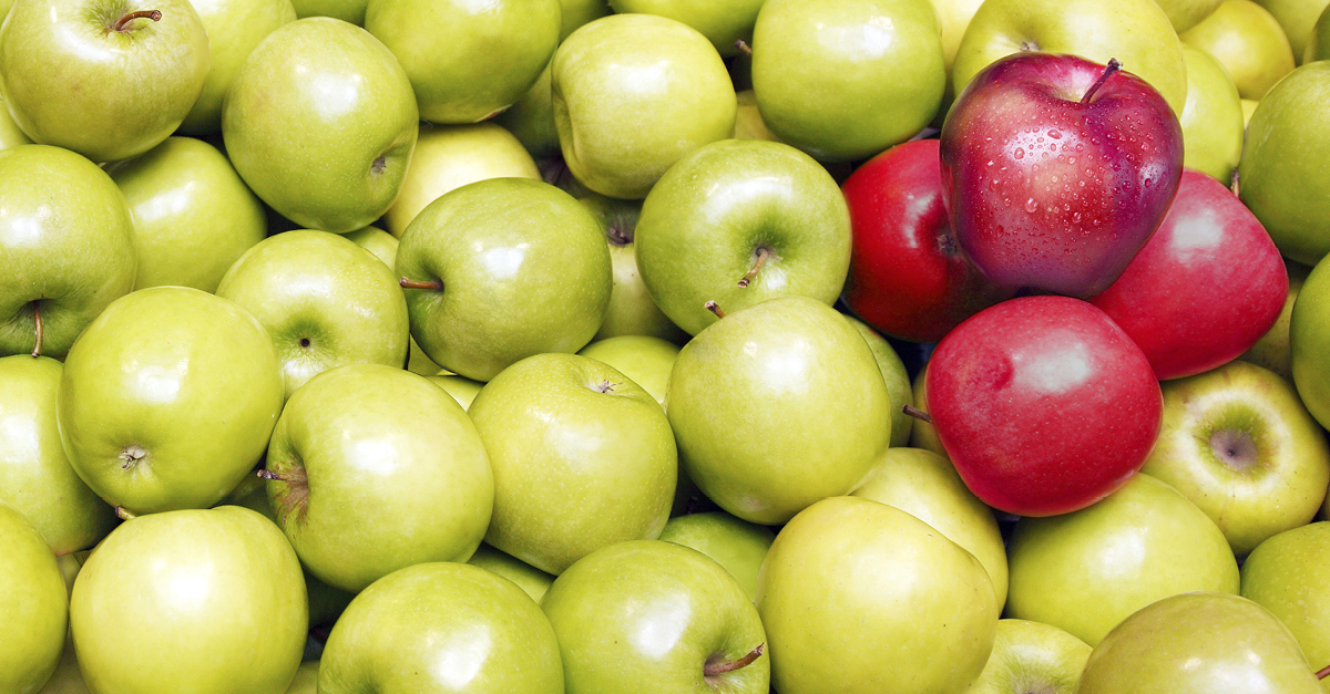 The Benefits of Concentrated Portfolios